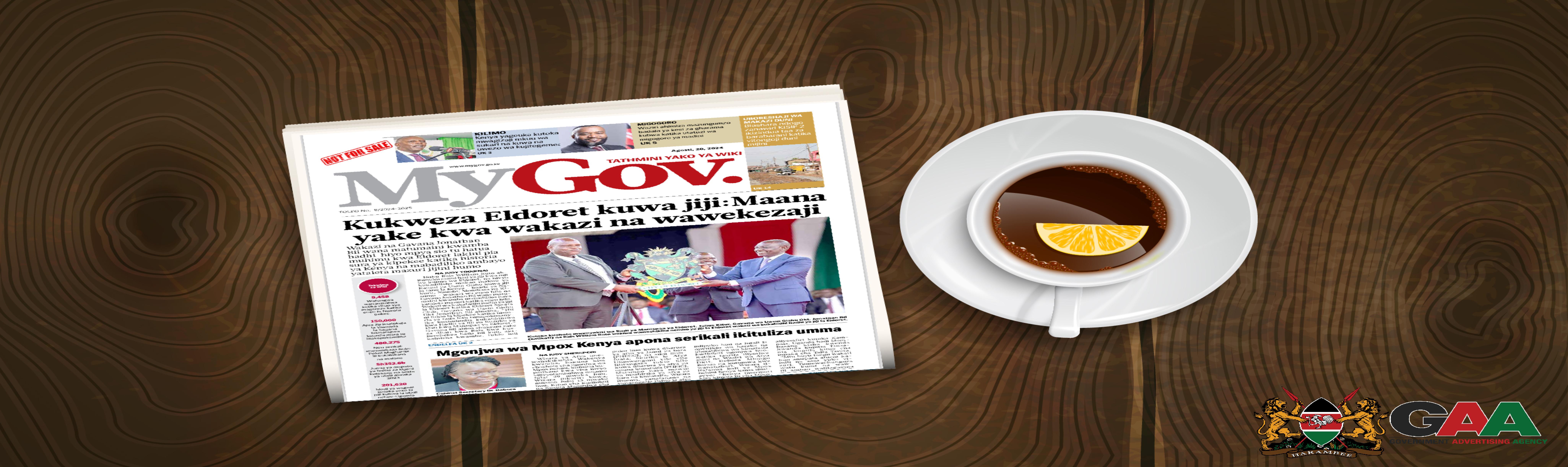 Public Sector Advertising Guidelines | Government Advertising Agency